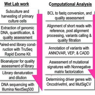Schematic Workflow For The Current Study The Left Panel Describes The Download Scientific