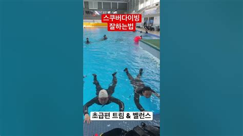 스쿠버다이빙잘하는법 초급편 트림 And 벨런스 플로그킥 기초편 벨런스 잡기 및 프로그킥 자세잡기 스쿠버라인 당진스쿠버팀 수원월드컵다이빙풀장 Youtube
