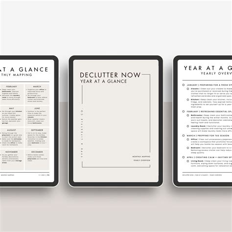 Declutter Now Year At A Glance Mini Bundle — Type A Lifestyle