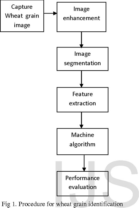 figure 1 from review on classification of wheat grain using machine
