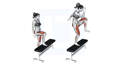 Jack Step Guide Benefits And Form