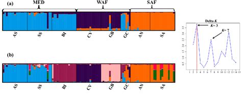 bayesian clustering pattern for mustelus mustelus based on nine