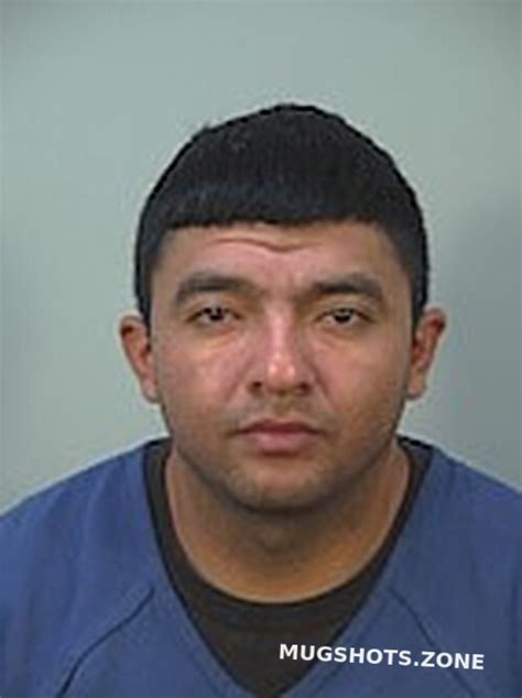 Hernandez Francisco Javier 02 14 2024 Dane County Mugshots Zone