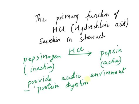 solved the primary functions of hcl secretion in the stomach are a
