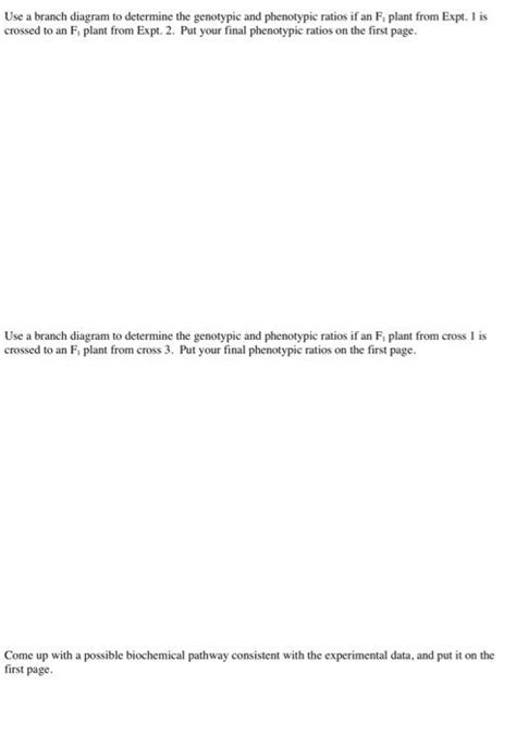 Solved Use A Branch Diagram To Determine The Genotypic And Chegg Com