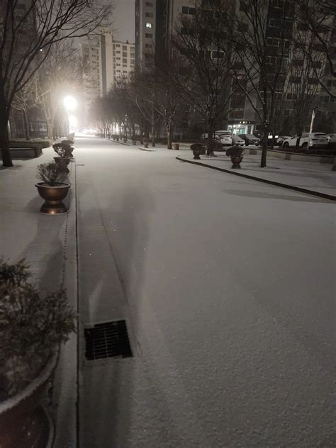 대구도 새벽에 갑자기 눈이 아침에 병원가야하는데 이건 뭐 긴장되서 잠도 안오고 밤새 혼자 이런저런 걱정에 와중에 밖은 왜 이렇게 낭만적인건지 마음이 더