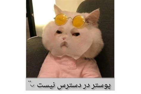 عکاسی های خودم تستچی