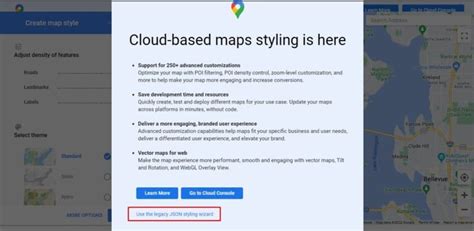 How To Remove Labels From Google Maps Map View TechCult