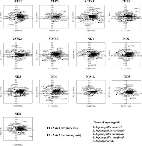 comparative analysis of codon usage patterns and phylogenetic implications of five mitochondrial