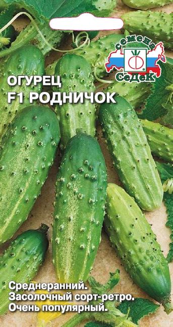 Огурец Родничок F1 оптом и в розницу - купить с доставкой почтой по ...