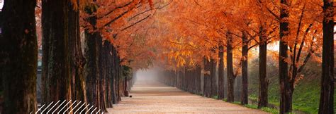 Compass Recovery College Reading And W Berkshire Carers Partnership