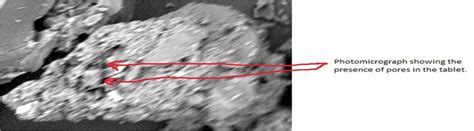 Scanning Electron Micrograph Of Non Effervescent Floating Tablet X1500 Download Scientific