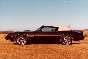 What Is The Difference Between Firebird And Trans Am TopsOnline Blog