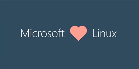 Windows Will Soon Ship With A Full Open Source GPLed Linux Kernel Ars Technica