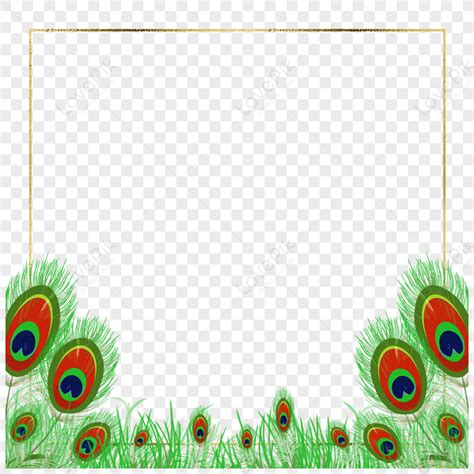 빨간색 녹색 공작 깃털 일러스트 테두리색깔초록 Png 일러스트 무료 다운로드 Lovepik