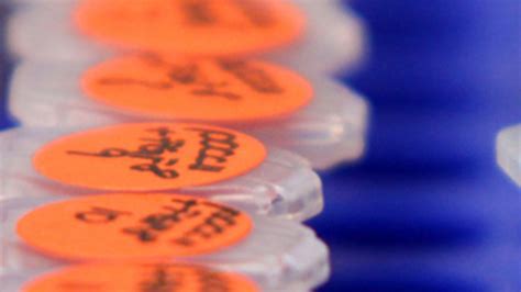 Group Leader MPI CBG