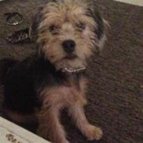 Stream Arron Reddick Music Listen To Songs Albums Playlists For Free On Soundcloud