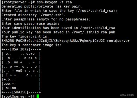 Shell循环部分练习 Csdn博客
