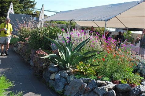 Annies Annuals San Francisco Bay Area Summer Tour Garden Center