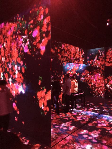 La Mia Coloratissima Teamlab Experience A Tokyo Be A