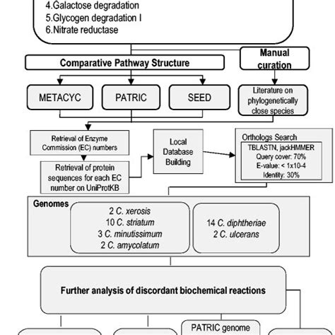 general workflow of the bioinformatics analysis download scientific