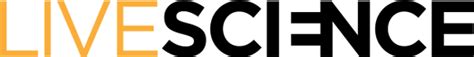 Inkl The Worlds News At Your Fingertips