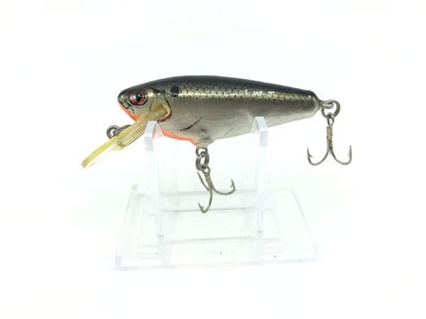 Bagley Small Fry Shad Vintage Bait Shad Color Orange Belly My