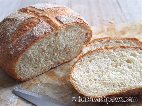 Rustic Crusty Bread Bake With Paws