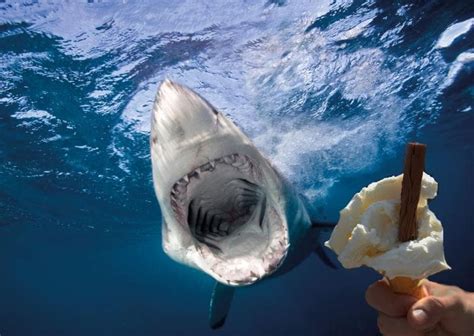 Prediction Vs Causal Inference Bps