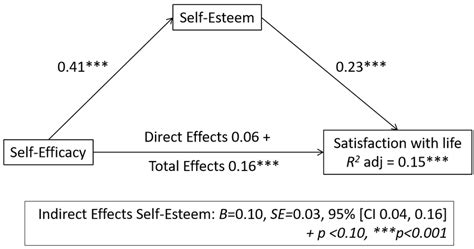 Mediating Role Of Self Esteem In The Relationship Between Self Efficacy Download Scientific