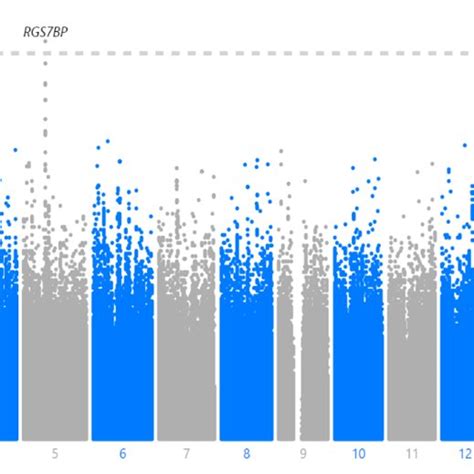 manhattan plot for meta analytic p values of association between snps