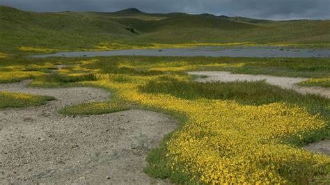 Cnps Conservation Tools Resources To Promote And Strengthen
