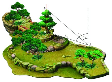 The Tree Height Measurement Method A Represents The Test Station B