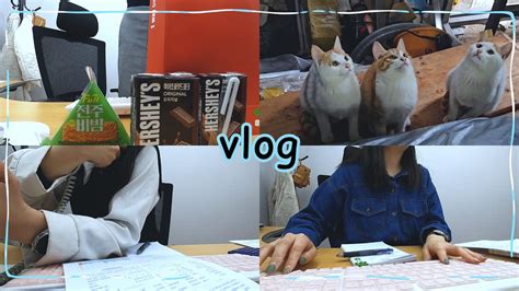 직장인vlog🎬 3월2째주경리사무직끝나지않은사업장정정업무멘탈바사삭다내려놓고싶다 Youtube