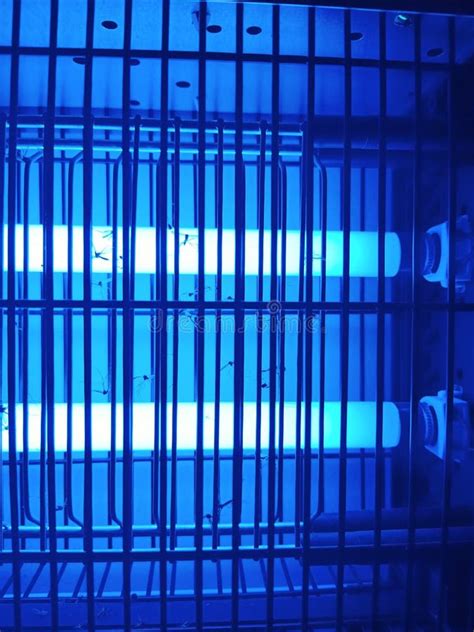 Electric Mosquito And Insect Zapper With Blue Lights Turned On Stock Photo Image Of Control