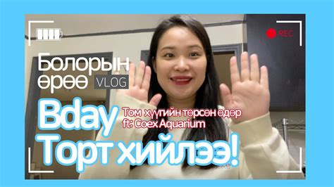 Сөүлд жирэмсэн ээжㅣЖирэмсэн 28week ㅣХүүгийн Bday торт хийх аргаㅣcoex Aquarium Youtube