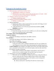 Understanding Damage To The Auditory Cortex Hearing Course Hero