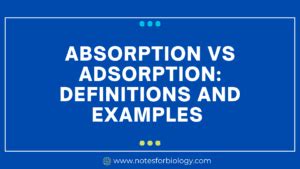 Absorption Vs Adsorption Differences And Examples