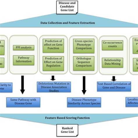 Overview Of Gene Prioritization Data Flow In Order To Prioritize