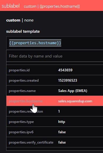 How To Use Custom Labels Squaredup Community Support