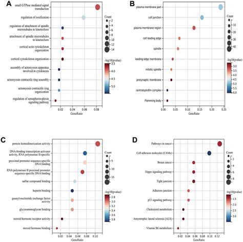 Kntc1 And Mcm2 Are The Molecular Targets Of Gallbladder Cancer Figure F3 Aging