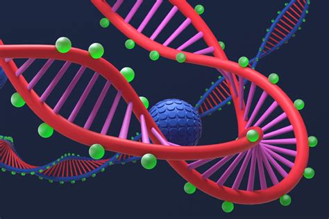 29 Facts About Dna Methylation