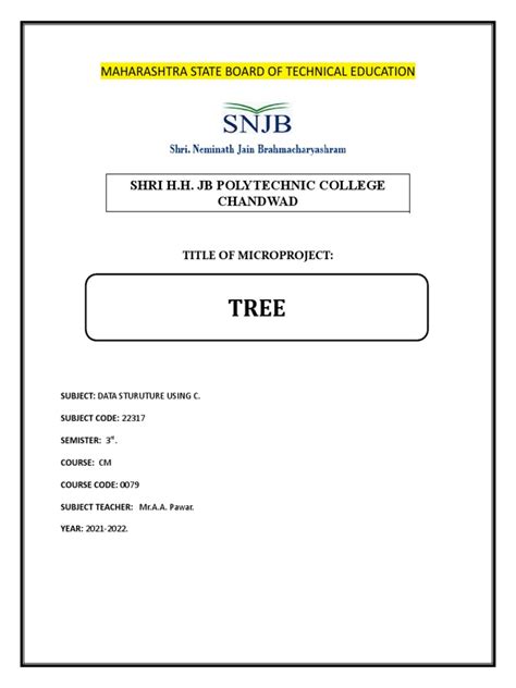 3rd dsu 20 micero project vaishnavi pdf algorithms and data