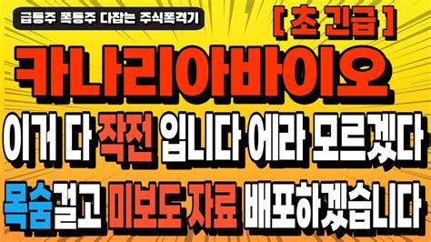 카나리아바이오 초긴급 목숨걸었다 엠바고 유출할게요 꼭 보세요 탈출을 기원합니다 카나리아바이오주식폭격 Youtube