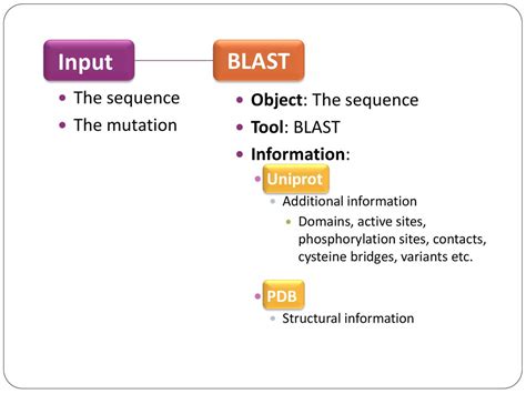 Have Your Protein Explained Ppt Download