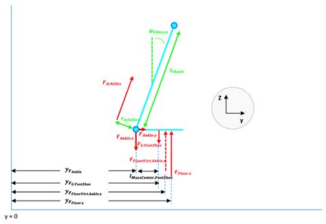 Figure A1 Calculation Of Ankle Joint Forces Download Scientific Diagram