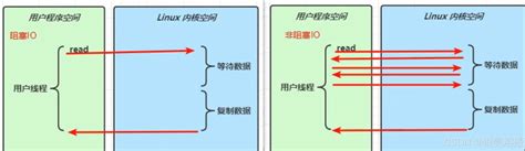 Io模型 Bio、nio、io多路复用、aio详解nio和多路复用io的区别 Csdn博客