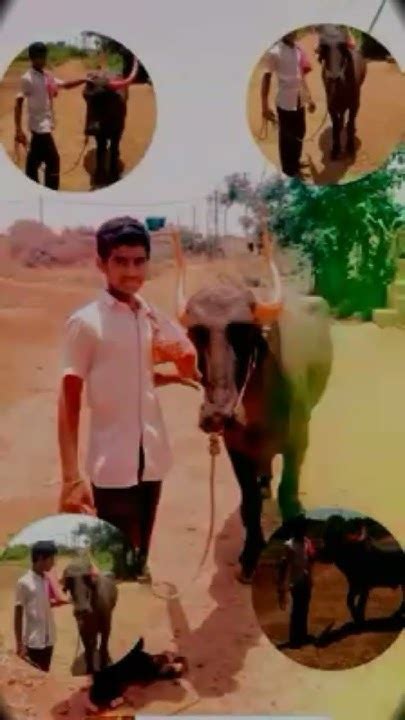 Ganesh Gouli Youtube