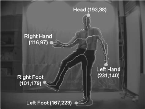 body analysis results after segmentation download scientific diagram