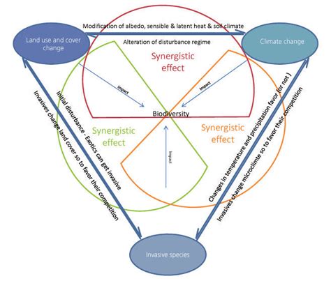 Conceptual Framework Of Synergistic Impacts On Biodiversity From
